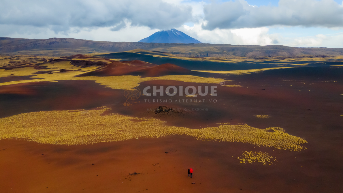 Experiencia Payunia – Choique Turismo Alternativo